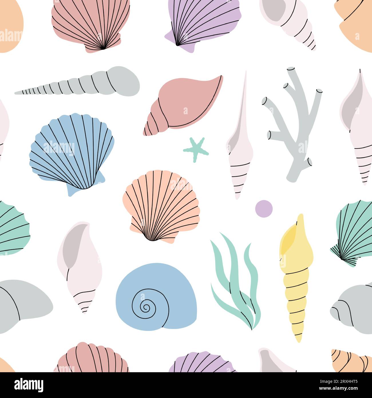 Sea shells pattern. Pearl shells seamless banner. Freshwater algae ...