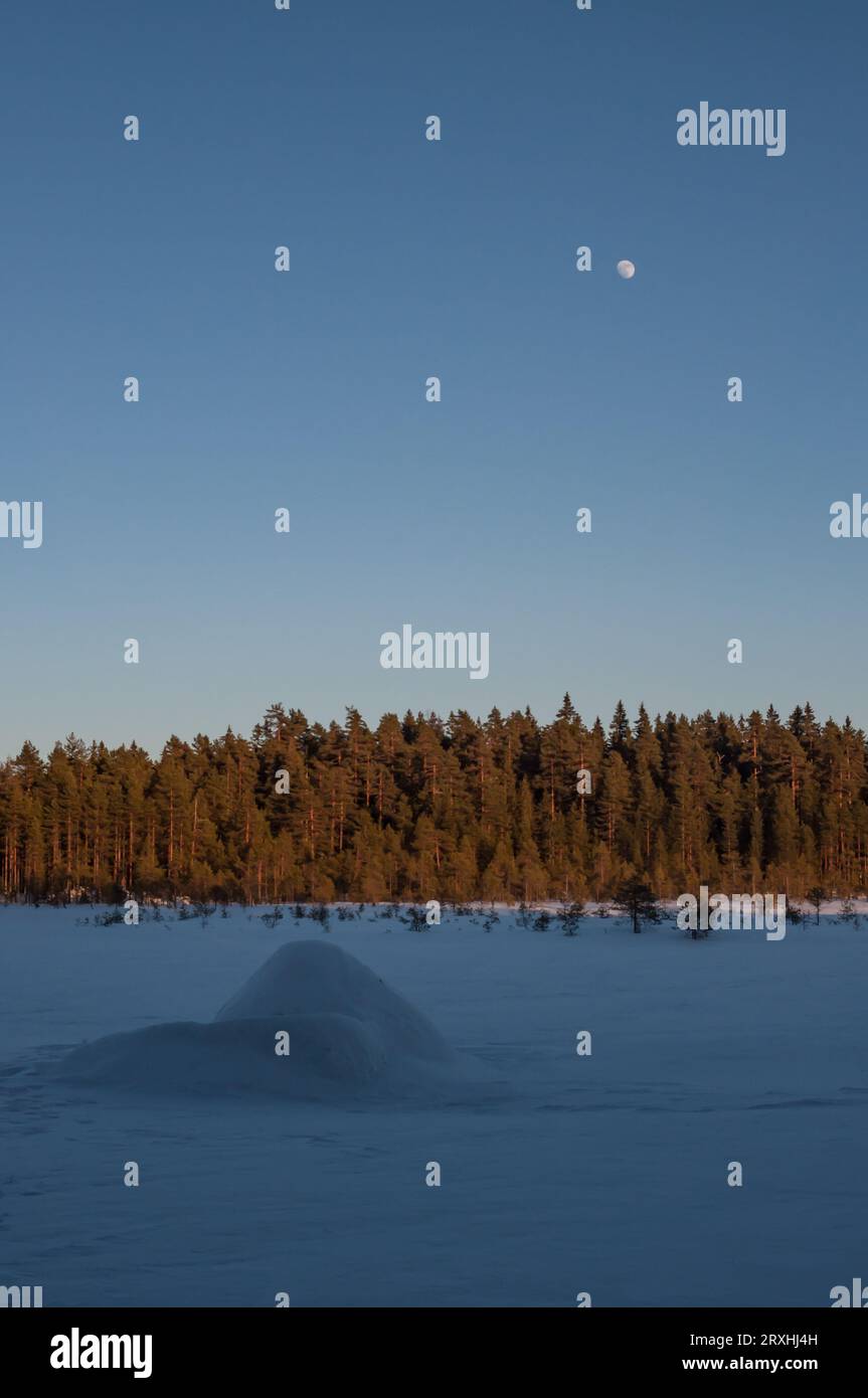 A moon over a forest hi-res stock photography and images - Alamy