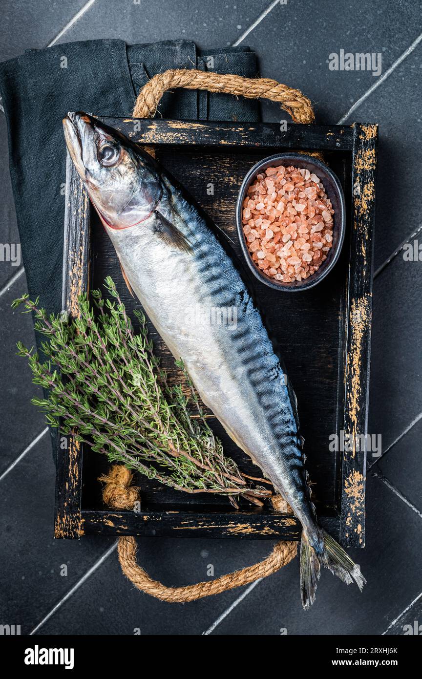 Raw mackerel fish with herbs and spices in wooden tray ready for ...