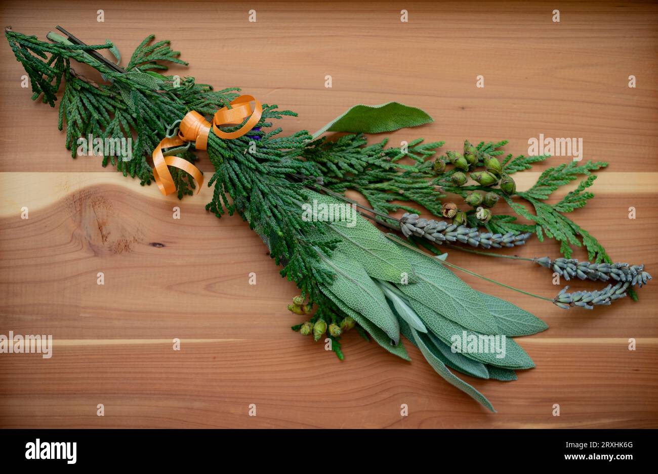 Close-up of a bundle of fresh, medicinal herbs tied with an orange ...