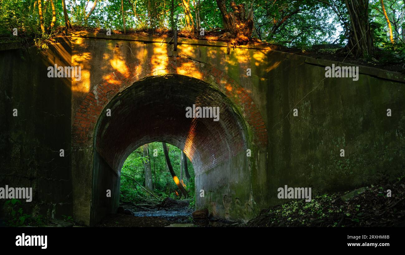 old brick railway bridge in the forest over the river Stock Photo - Alamy