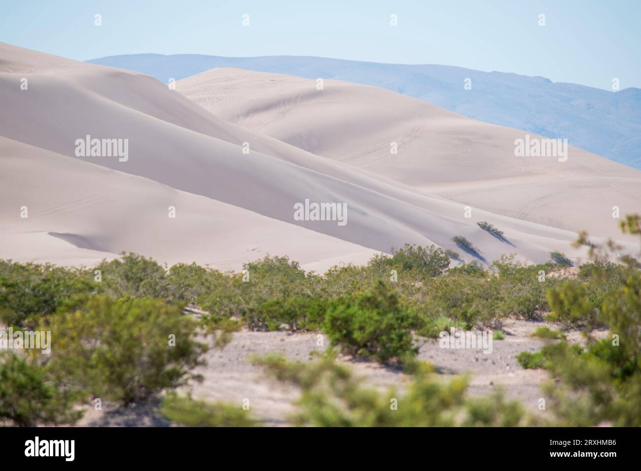 Big Dune Recreation Area features sand dunes near Las Vegas, NV, USA ...