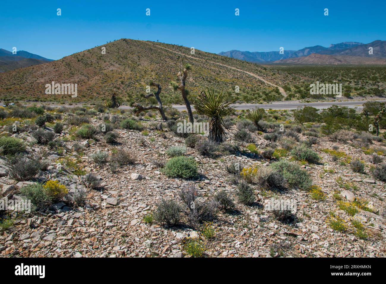 The strange ones hi-res stock photography and images - Alamy