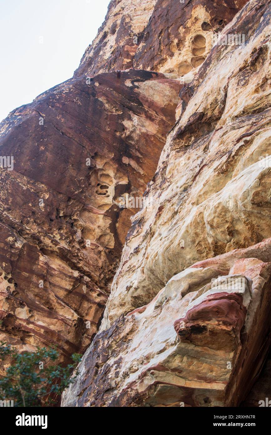 Red Rock Canyon National Conservation Area is a great place to visit ...
