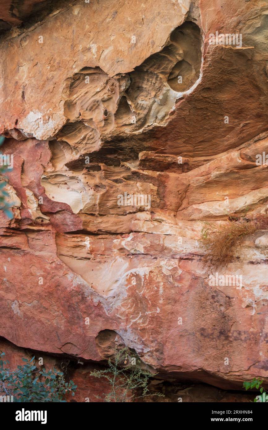 Red Rock Canyon National Conservation Area is a great place to visit ...