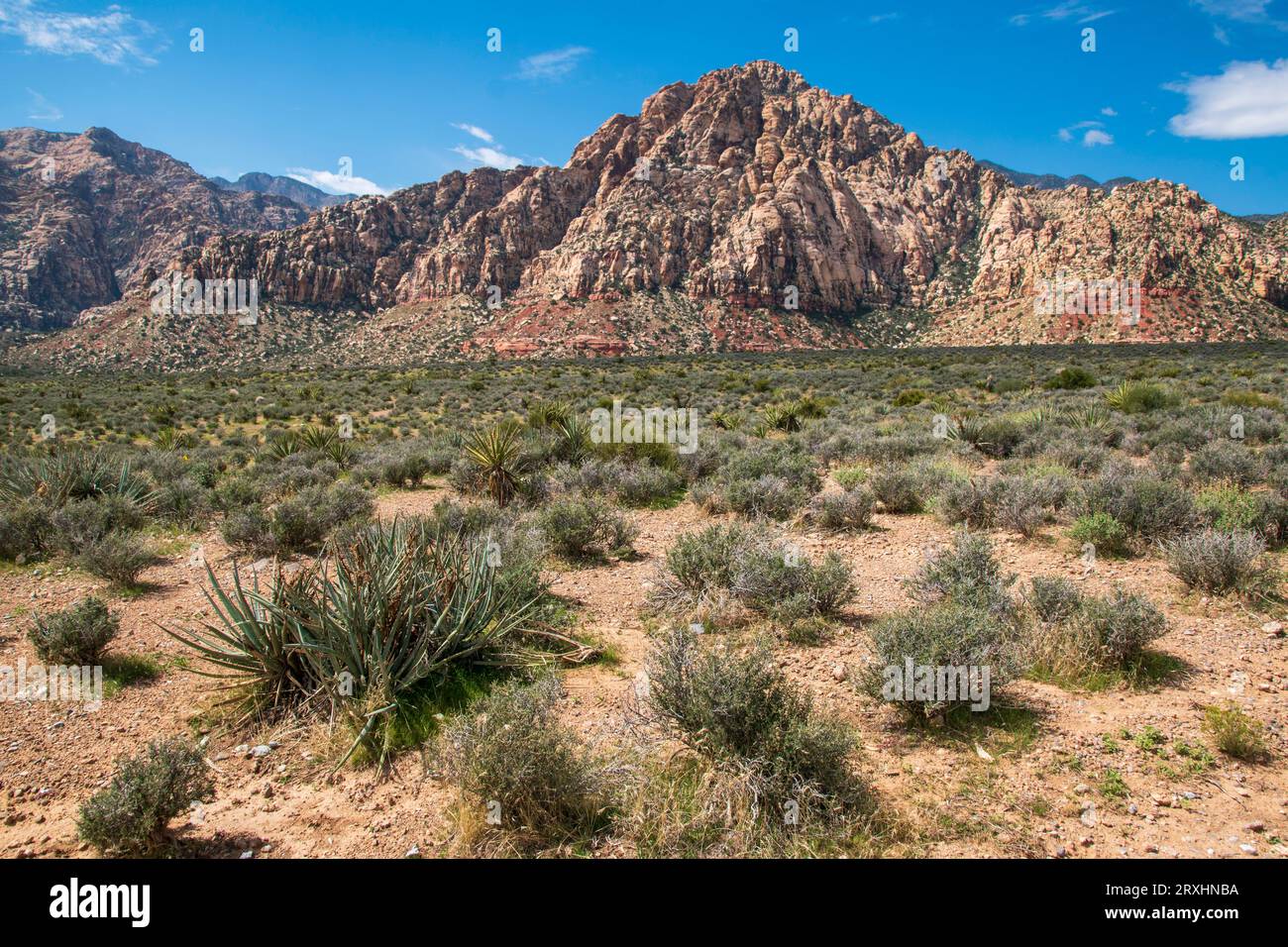 Red Rock Canyon National Conservation Area is a great place to visit ...