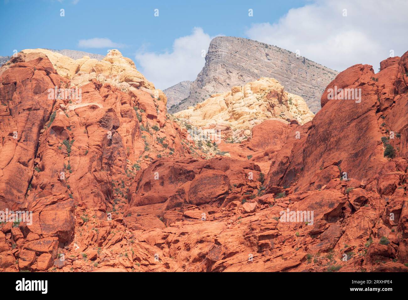 Red Rock Canyon National Conservation Area is a great place to visit ...