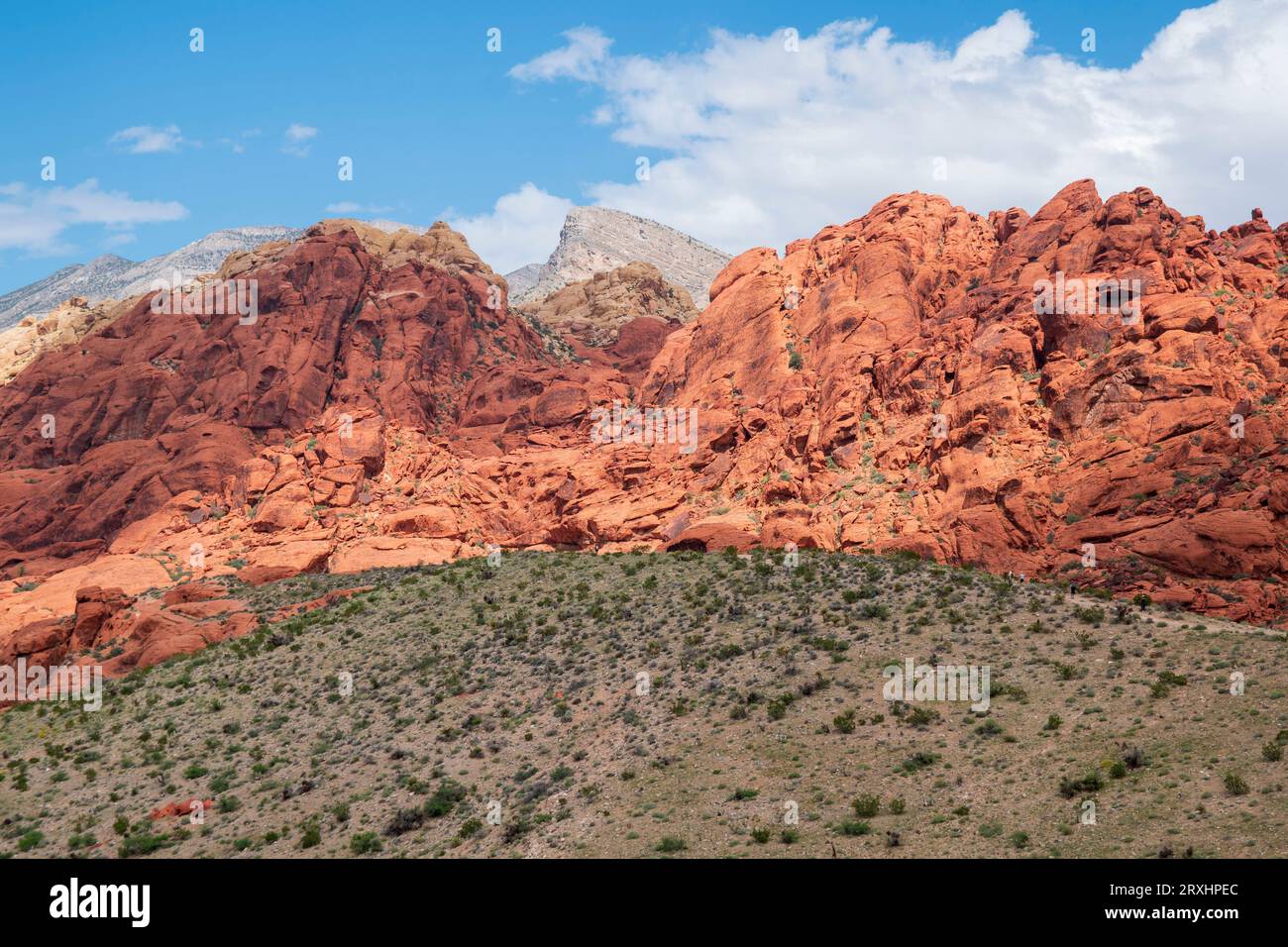 Red Rock Canyon National Conservation Area is a great place to visit ...