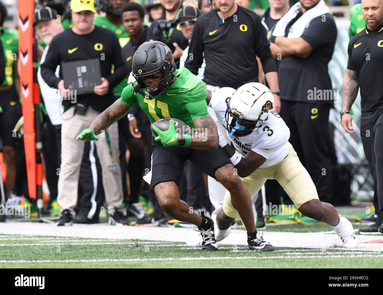EUGENE, OR - SEPTEMBER 23: Oregon Ducks wide receiver Troy Franklin (11 ...