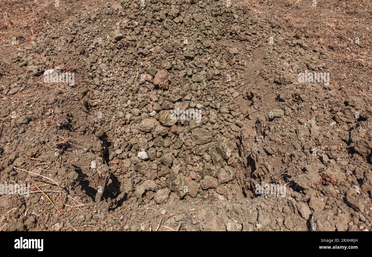 Top of view of dried soil background Stock Photo - Alamy