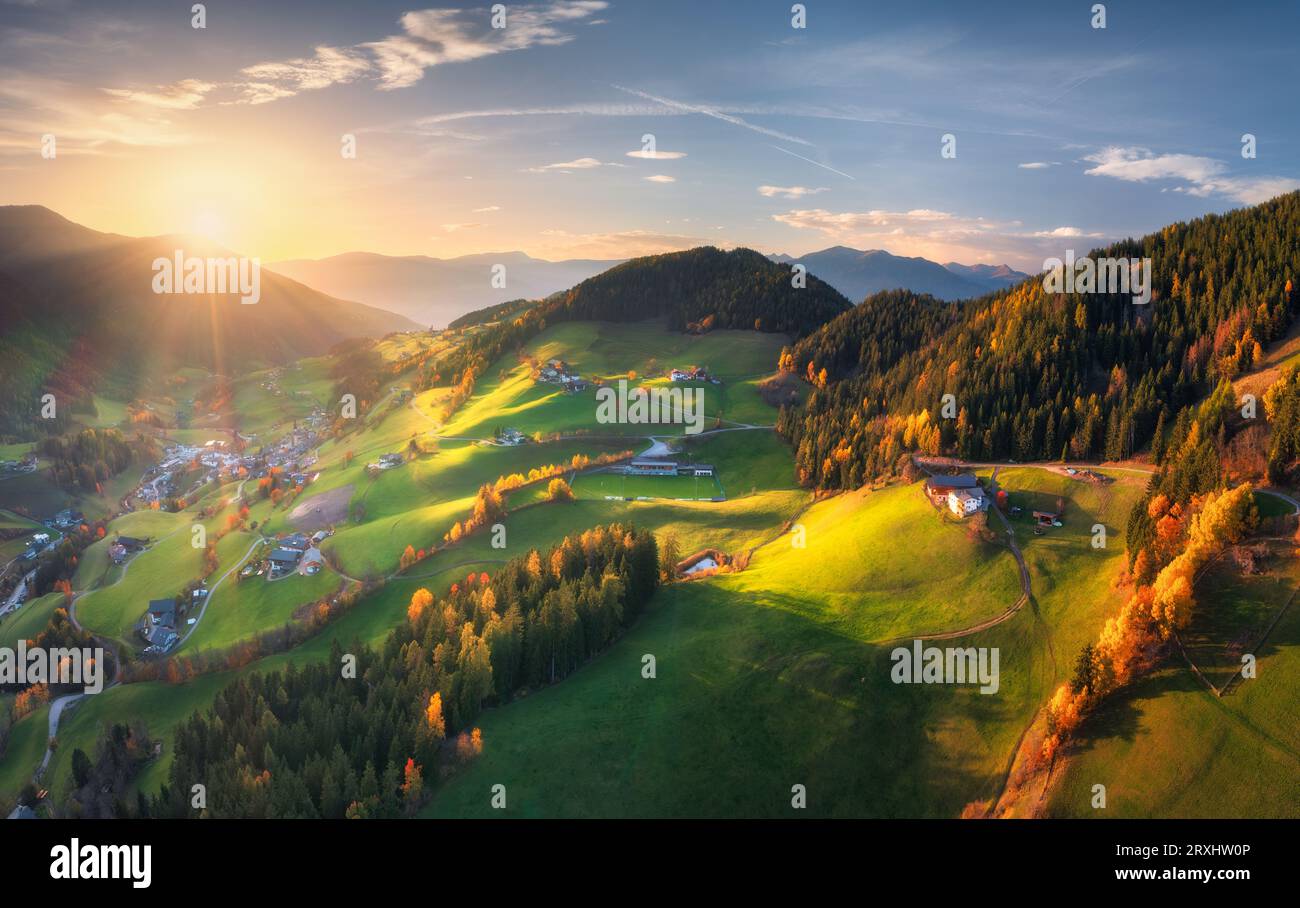 Aerial view of amazing green alpine meadows, orange trees, hills Stock ...