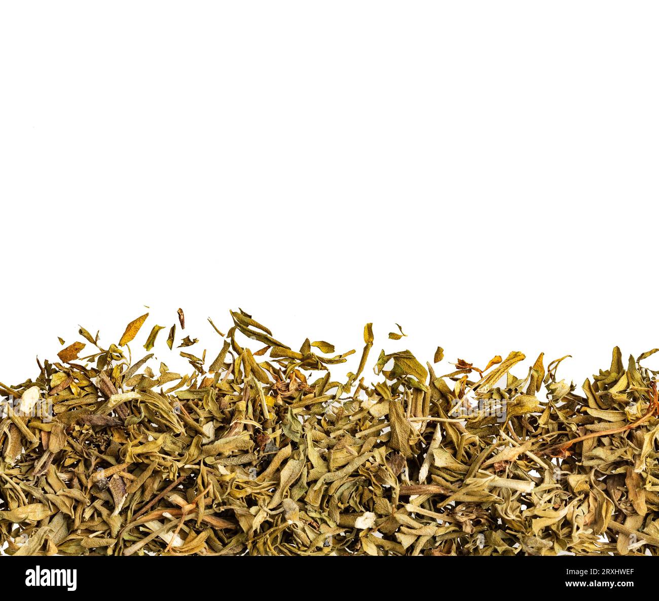 Dried leaves of the rue plant - Ruta graveolens Stock Photo - Alamy