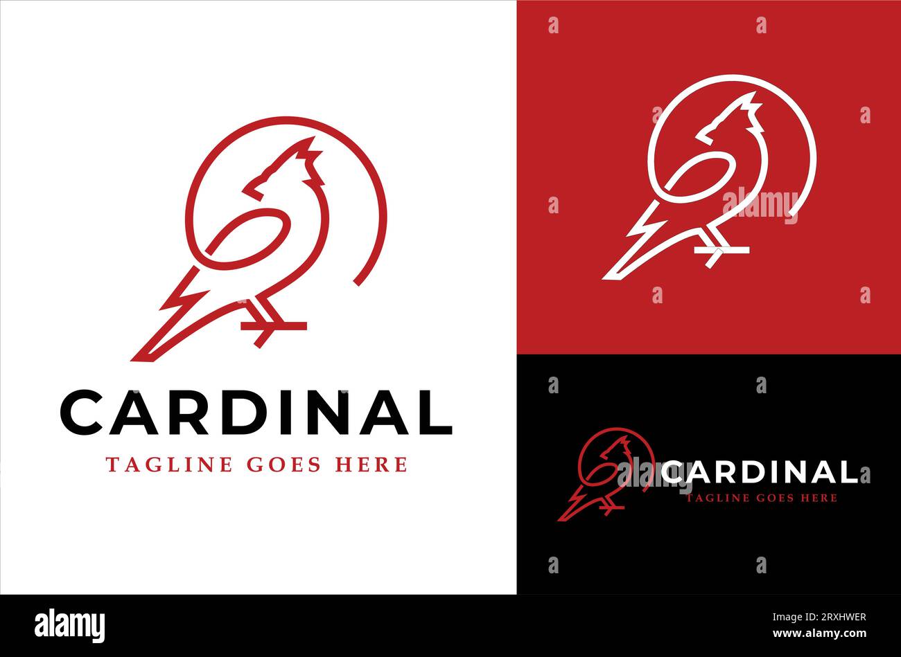 Cardinal Bird Illustration Modern Bird Logo Design Template Vector ...