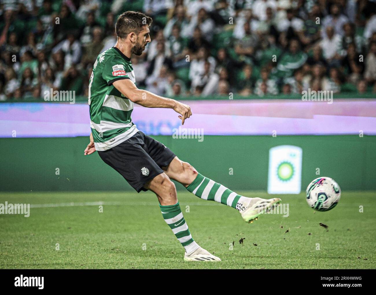 Paulinho of sporting cp hi-res stock photography and images - Alamy