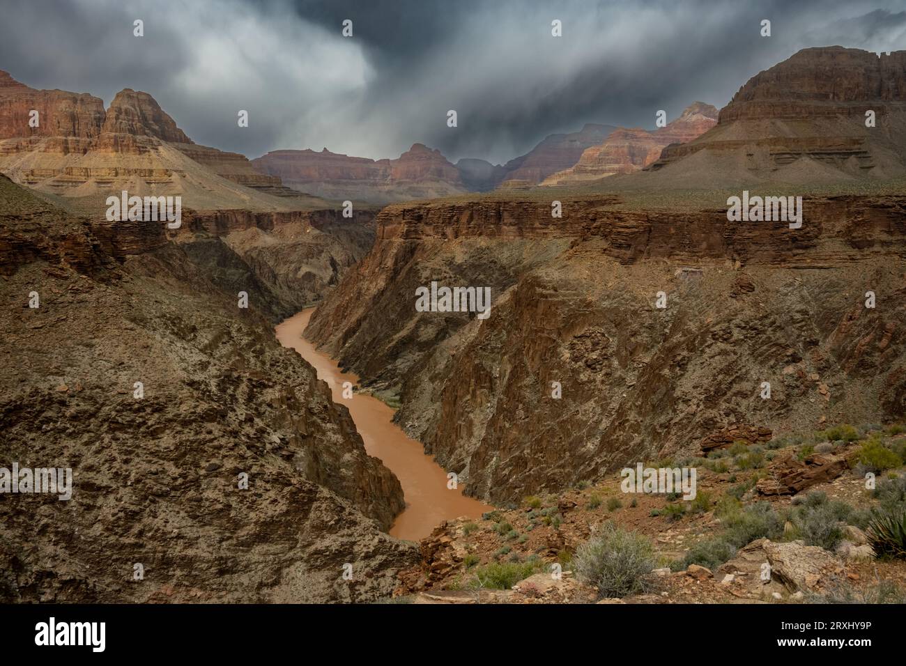 Muddy Colorado River Cuts Through The Grand Canyon Covered In Dark ...