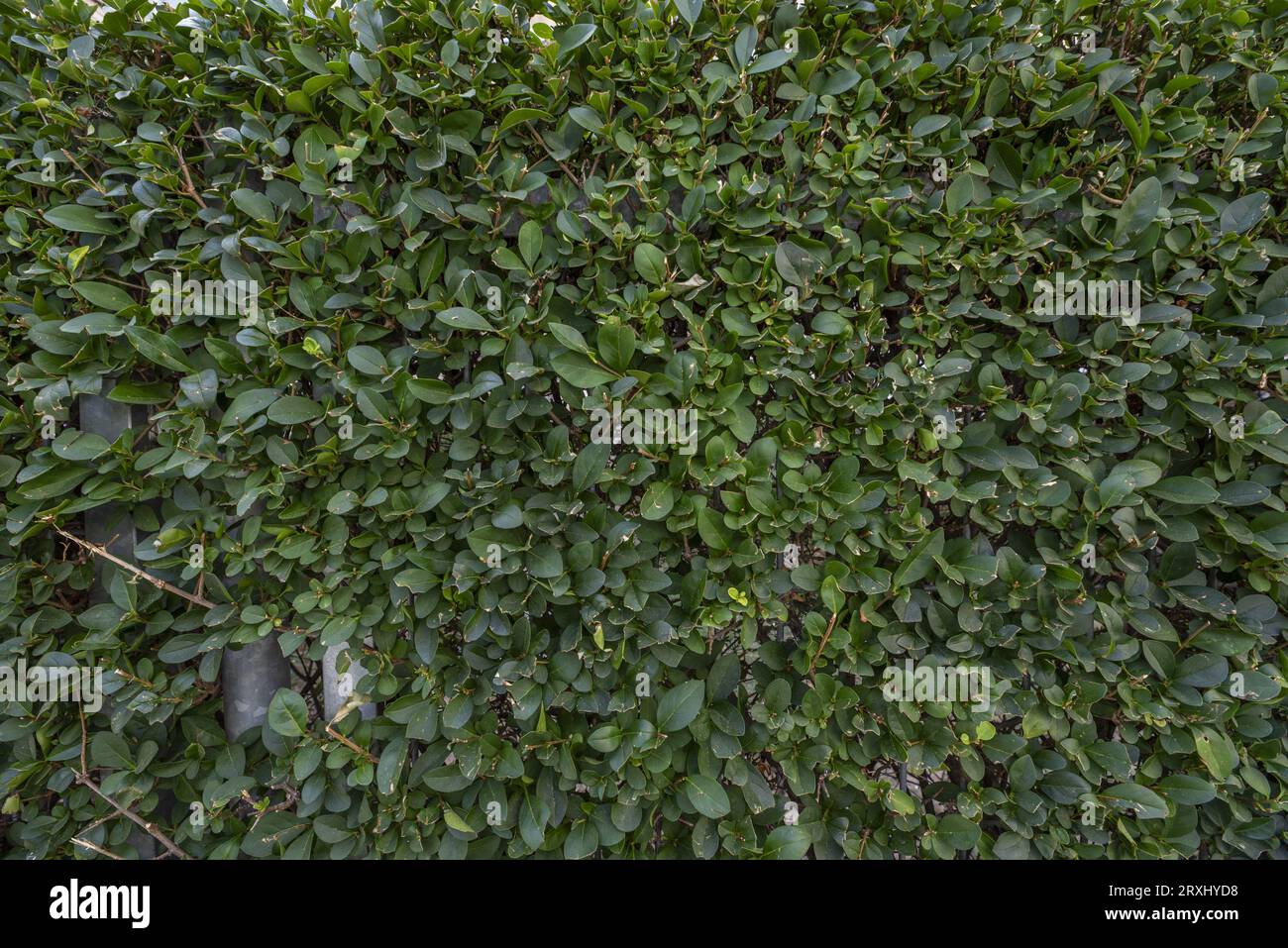 Urban desert park hi-res stock photography and images - Alamy