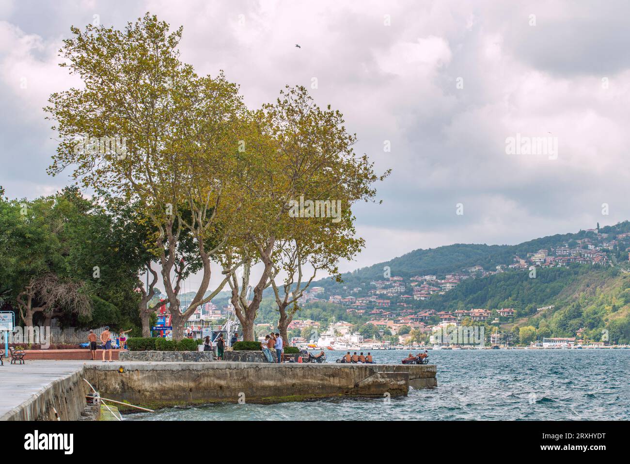 A leafy wooded breakwater and people sunbathing and bathing in the ...