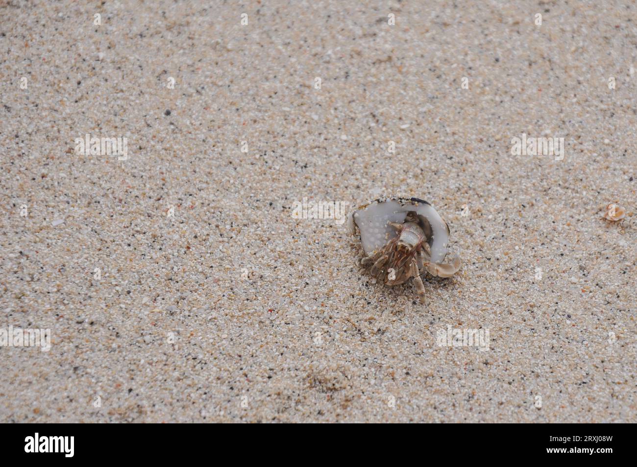 Dravuni island fiji hi-res stock photography and images - Alamy