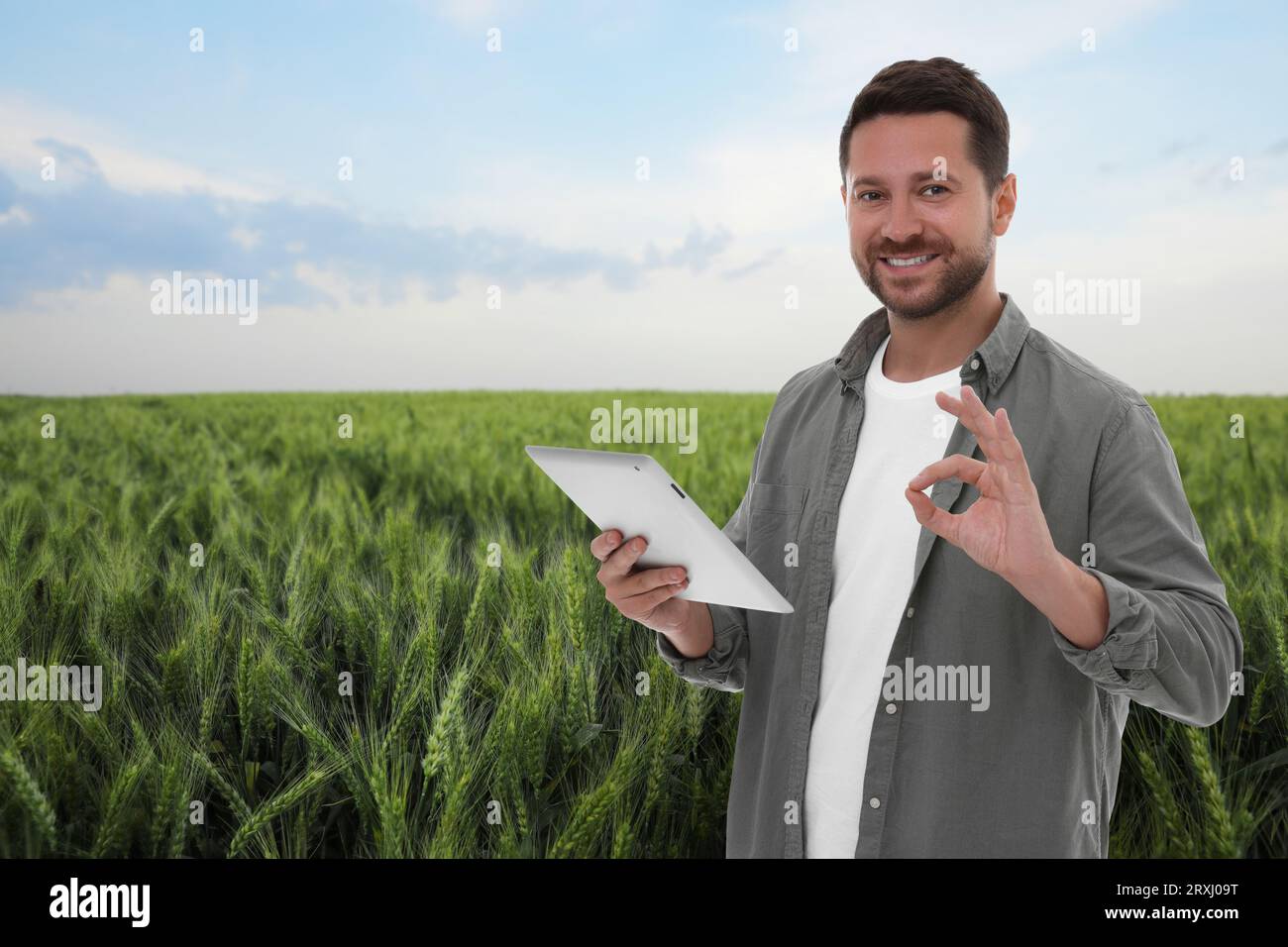 Farmer with tablet computer in field. Harvesting season Stock Photo - Alamy