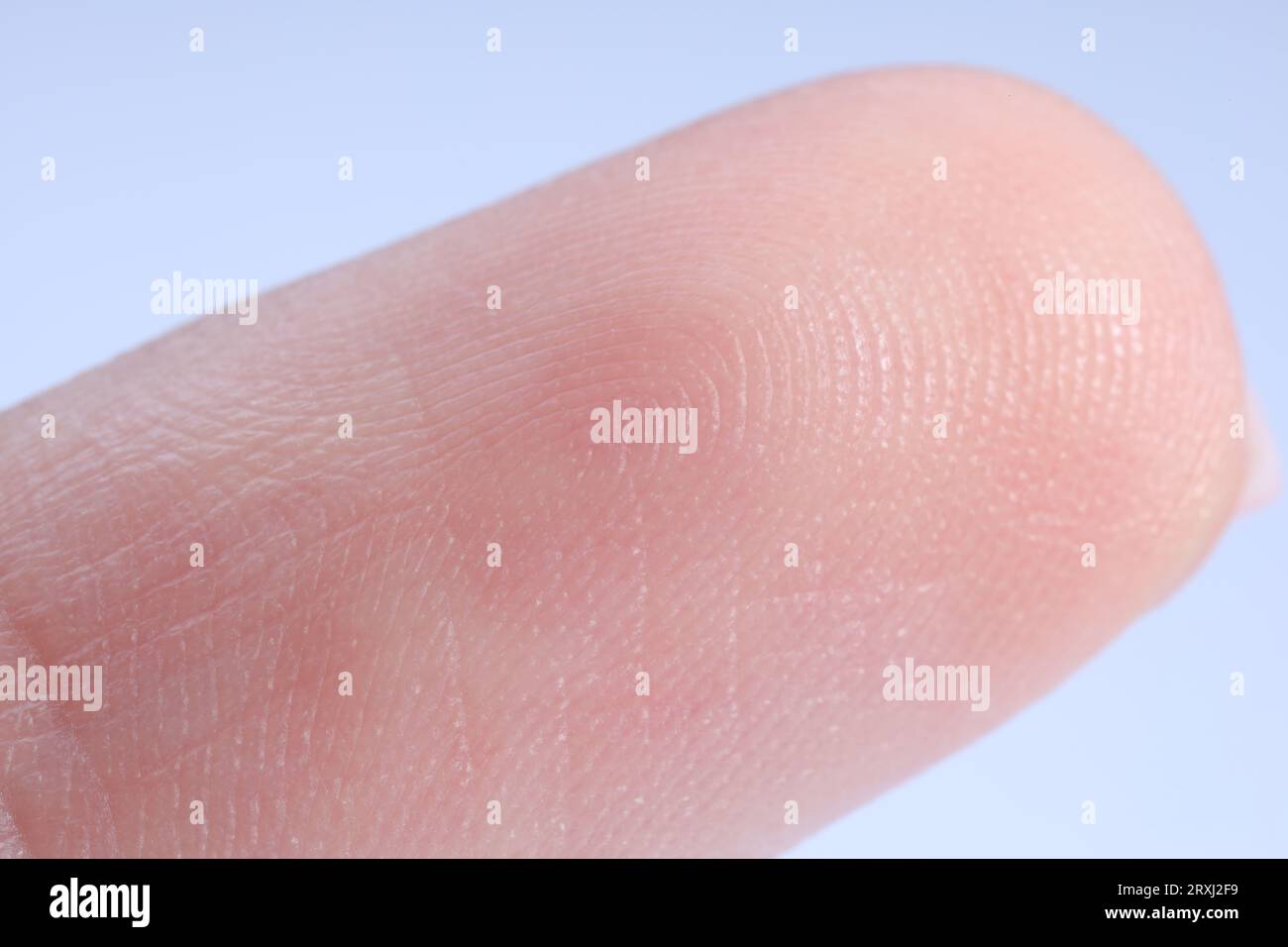 Finger with friction ridges on light blue background, macro view Stock ...
