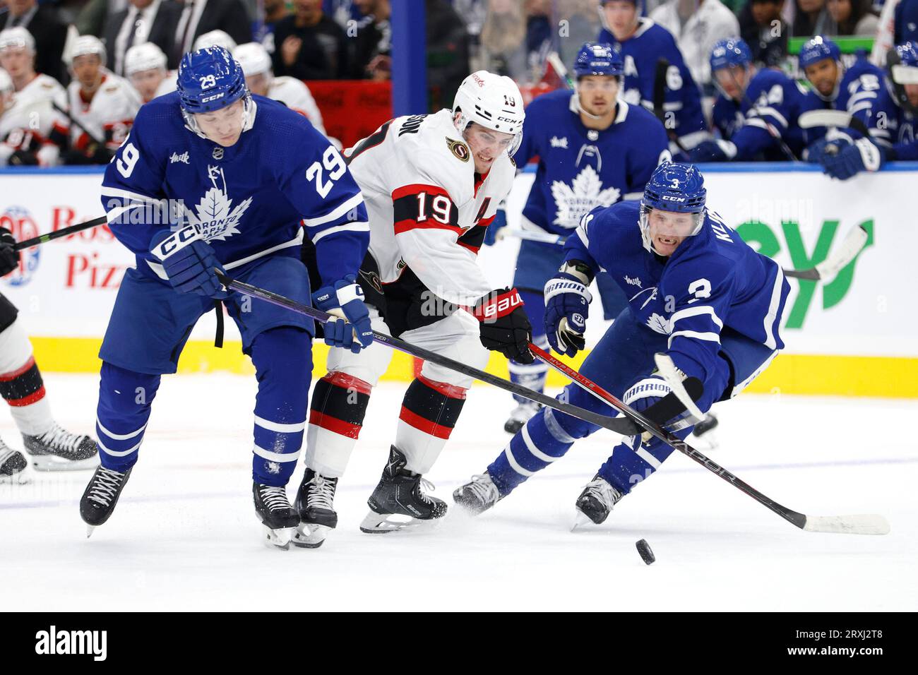 Toronto Maple Leafs forward Pontus Holmberg (29) and defenseman John ...