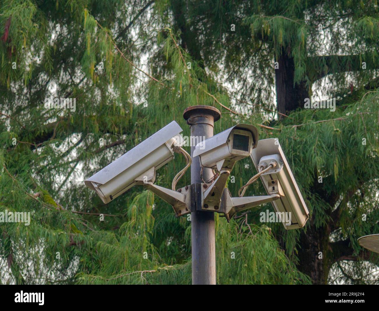 Police issuing a fine hi-res stock photography and images - Alamy