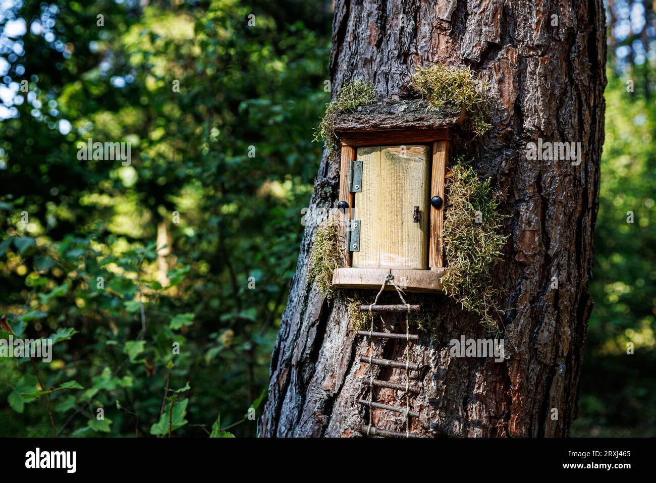 A small door in a tree trunk Stock Photo - Alamy