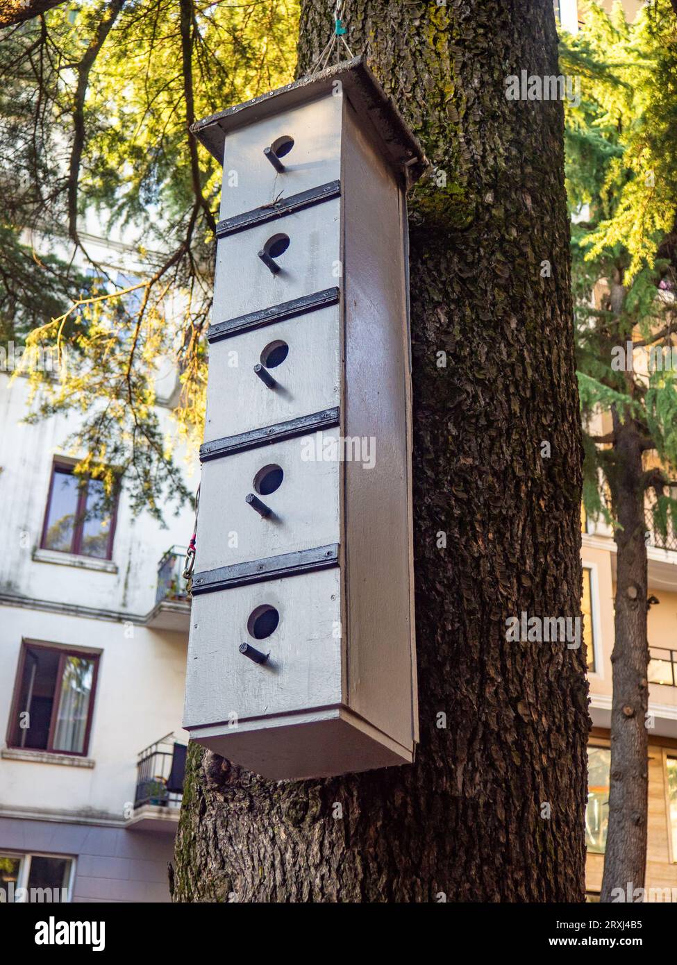 Multi-tiered birdhouse. Birdhouses on a large tree. Birdhouses of ...