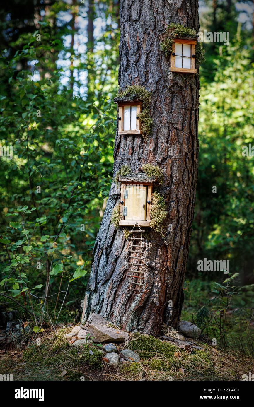 Doors and windows in a tree trunk Stock Photo - Alamy
