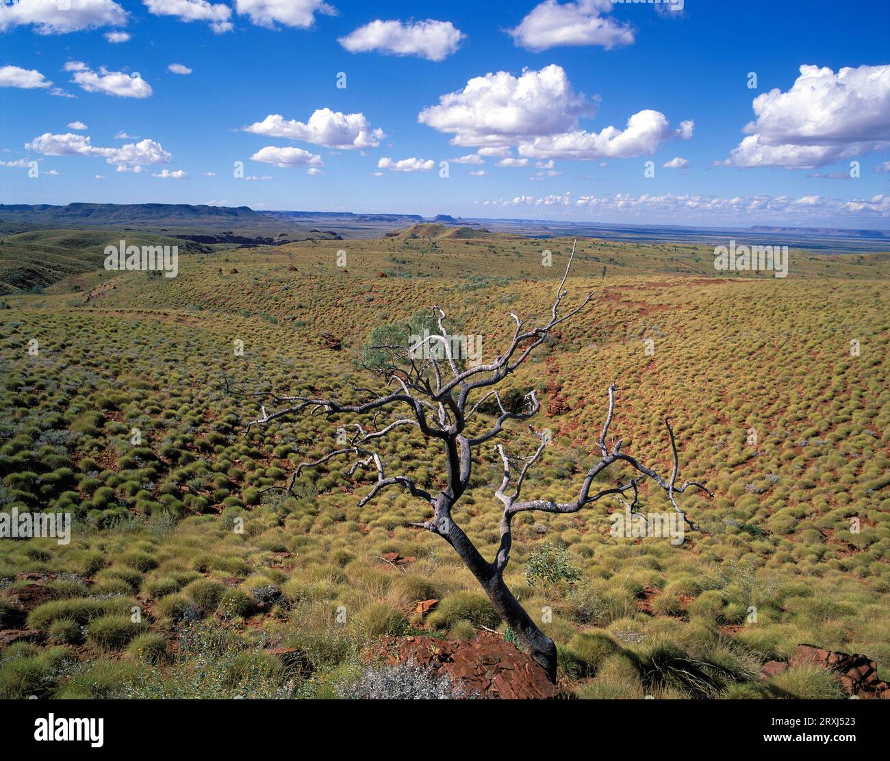 Hamersley ranges hi-res stock photography and images - Alamy