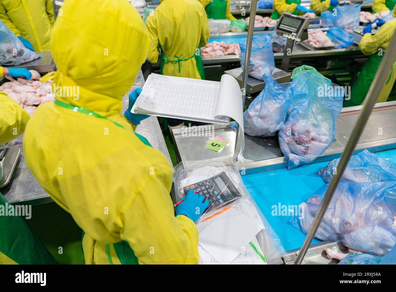 Quality Control check the chicken meat in plastic bag quality for keep ...