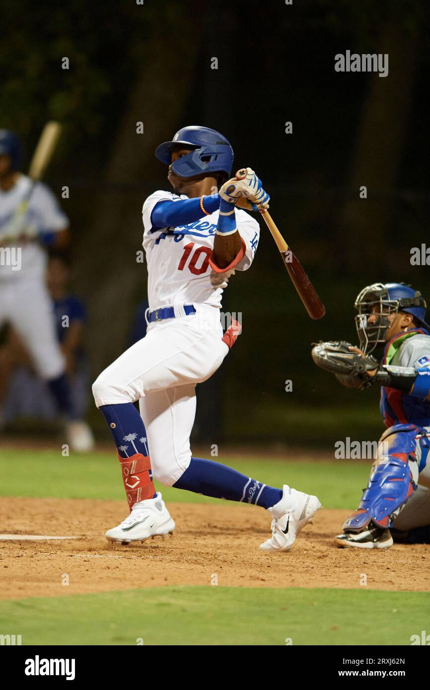 Mairoshendrick Martinus (10) of the ACL Dodgers at bat during an ...