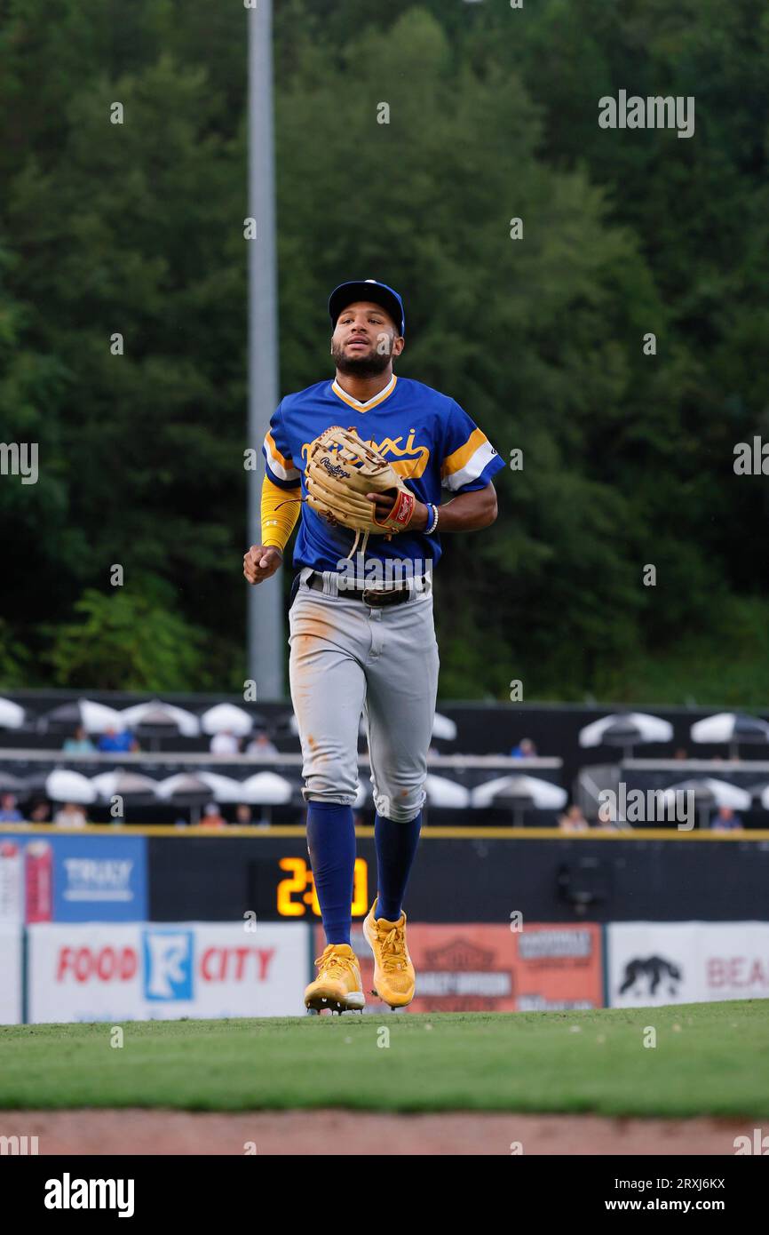 Biloxi Shuckers center fielder Jackson Chourio (11) in action against ...