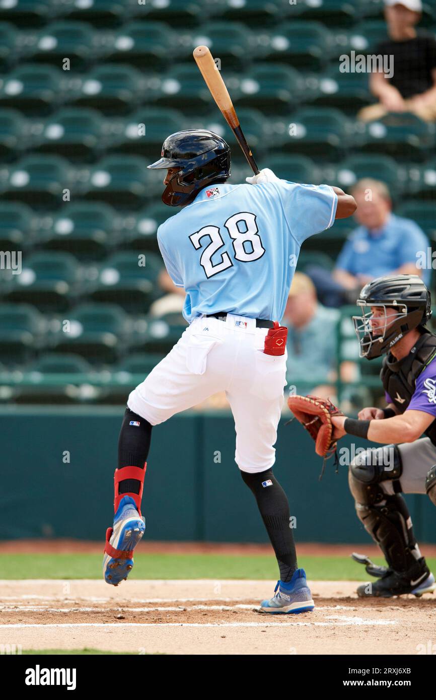 Sebastian Walcott (28) of the Hickory Crawdads at bat during a South ...