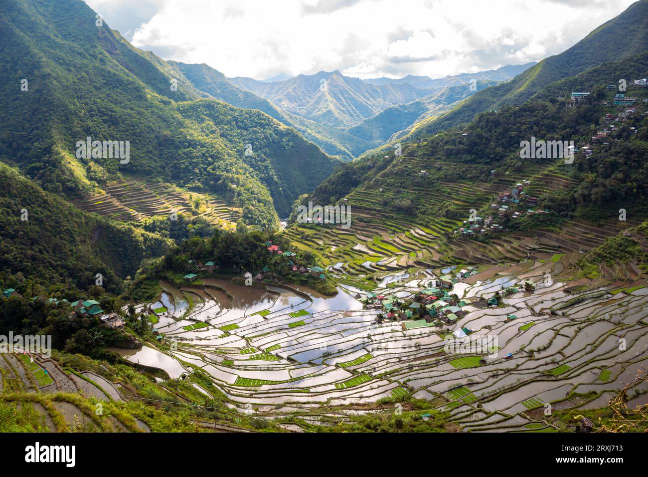 Rice and water on terraces, world heritage Ifugao rice terraces in ...