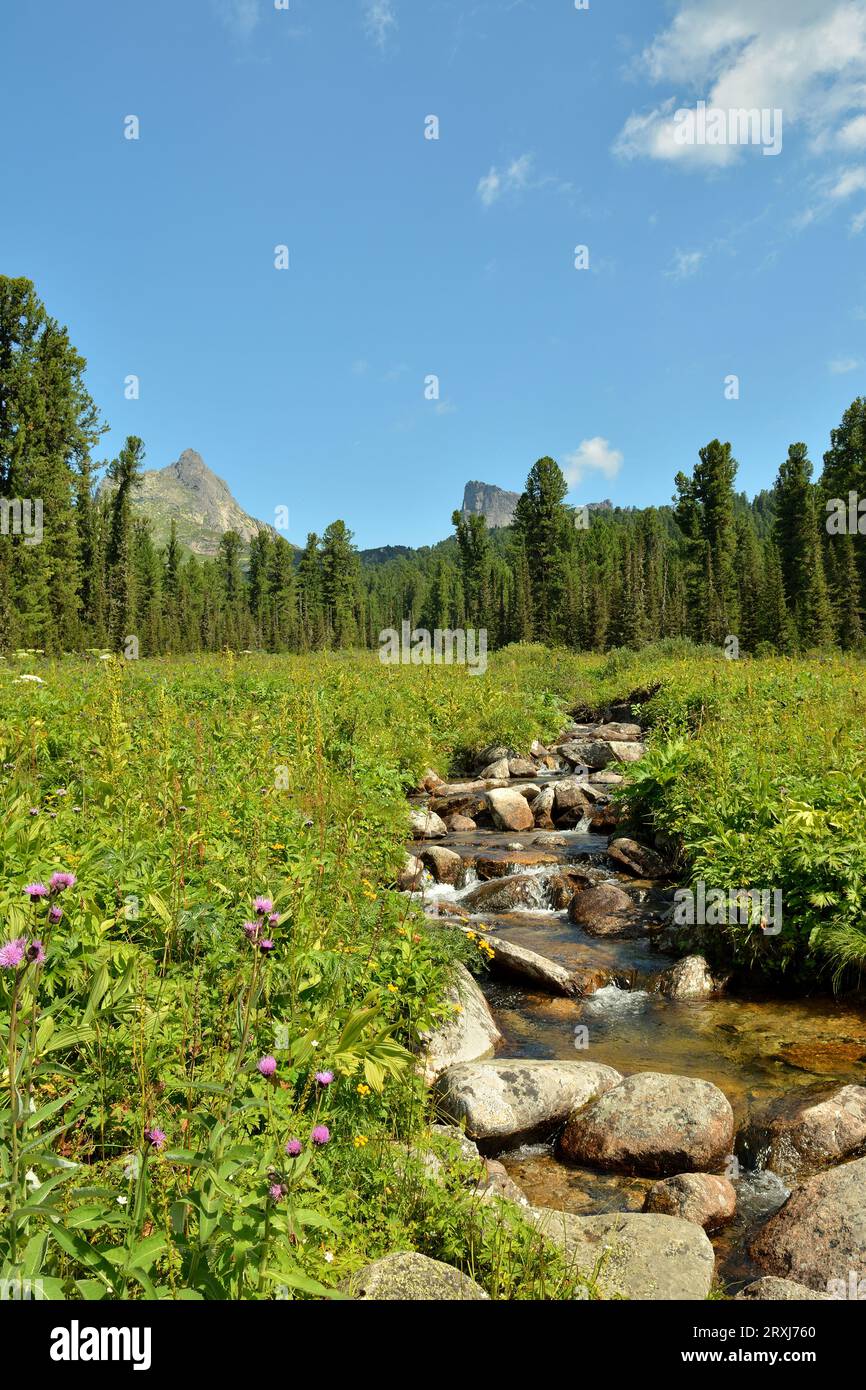 A stream with a rocky bottom crosses a wide clearing with tall grass at ...