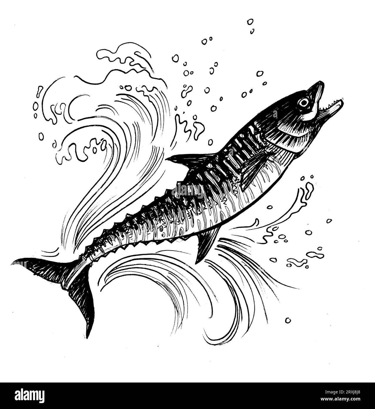 Jumping fish. Hand-drawn retro styled ink black and white drawing Stock ...