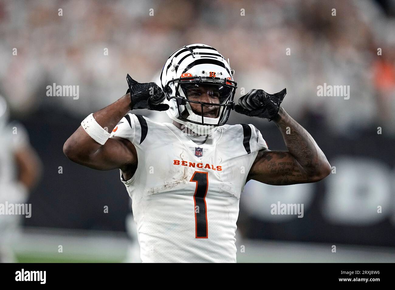 Cincinnati Bengals wide receiver Ja'Marr Chase celebrates after ...