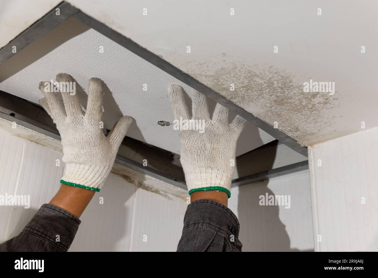 Worker fix leaking pipe in ceiling ,close-up of a stain on the ceiling ...