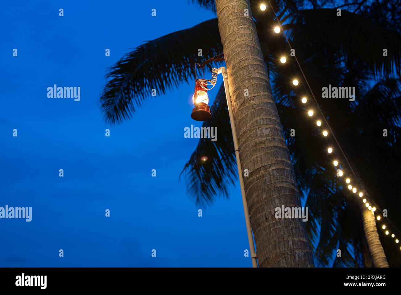 Silhouette coconut tree hi-res stock photography and images - Alamy