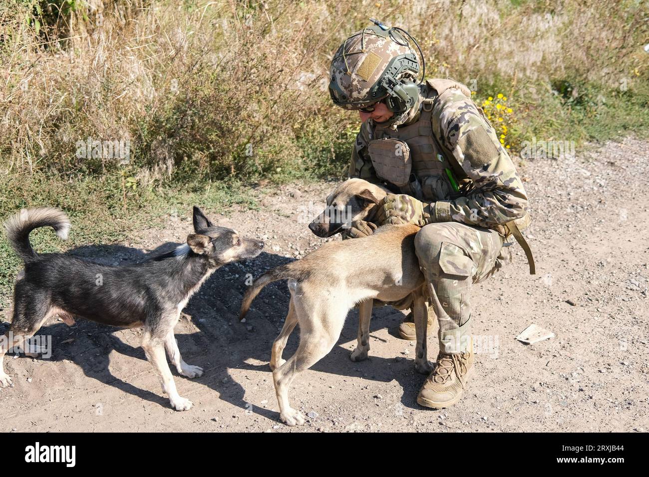A soldier of the Joint Forces of the Armed Forces of Ukraine plays with ...