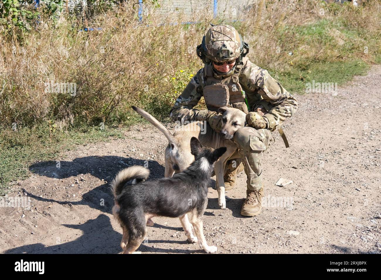 Russian soldier dog hi-res stock photography and images - Alamy