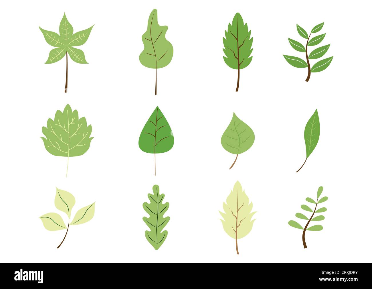 Flat leaves Stock Vector Images - Alamy