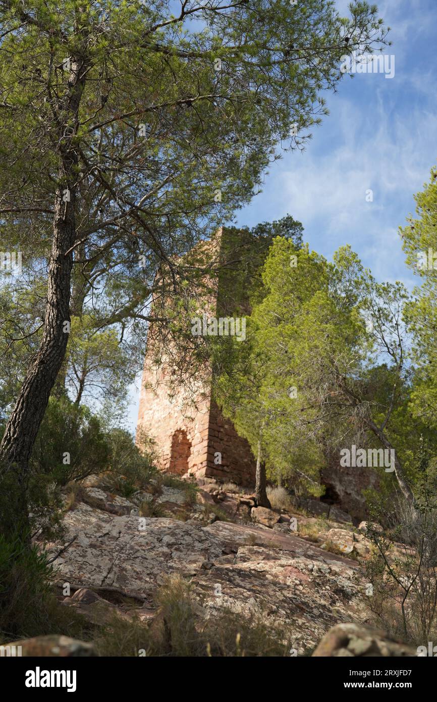 Parc natural de la serra calderona hi-res stock photography and images ...
