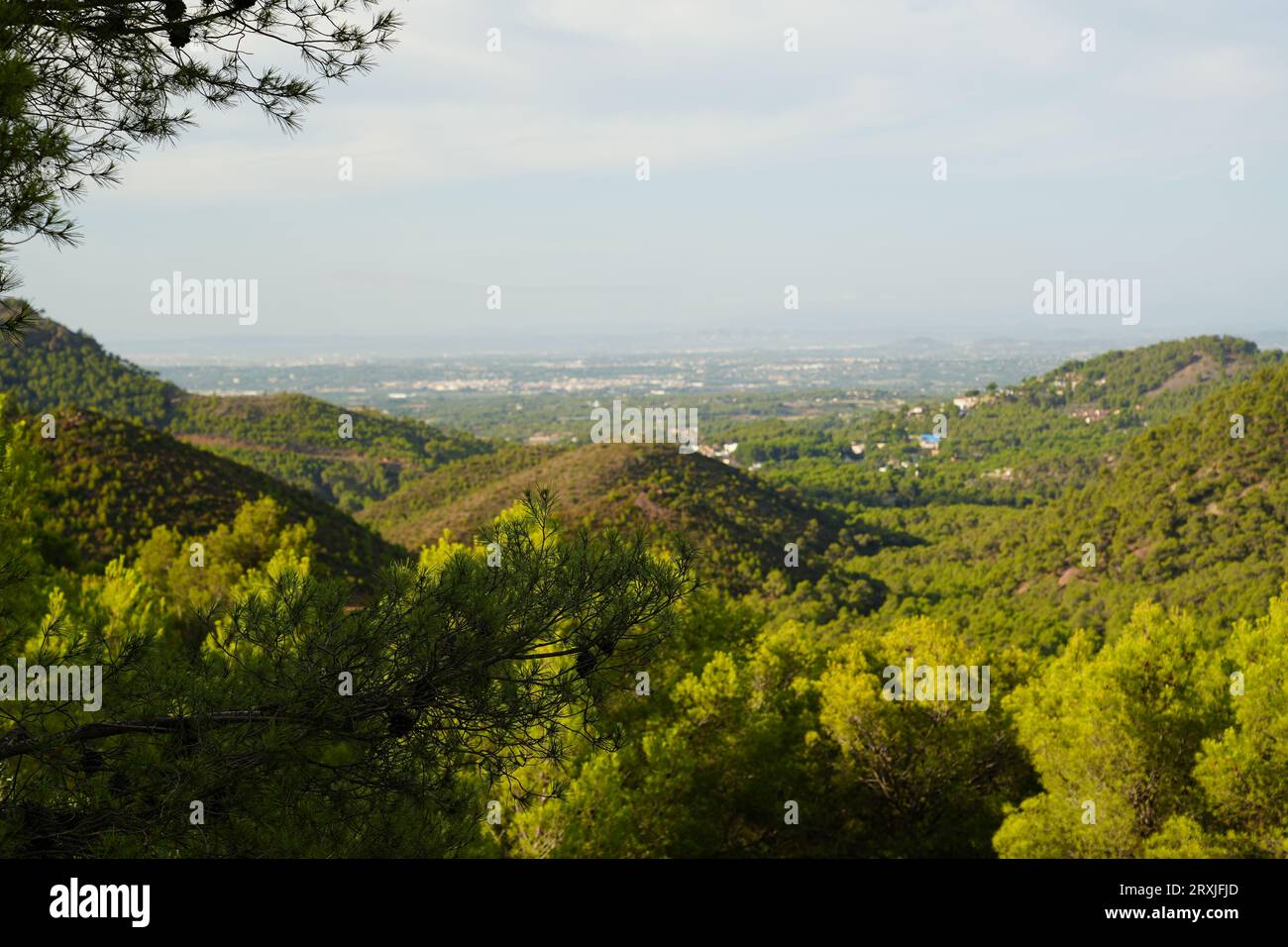 Parc natural de la serra calderona hi-res stock photography and images ...