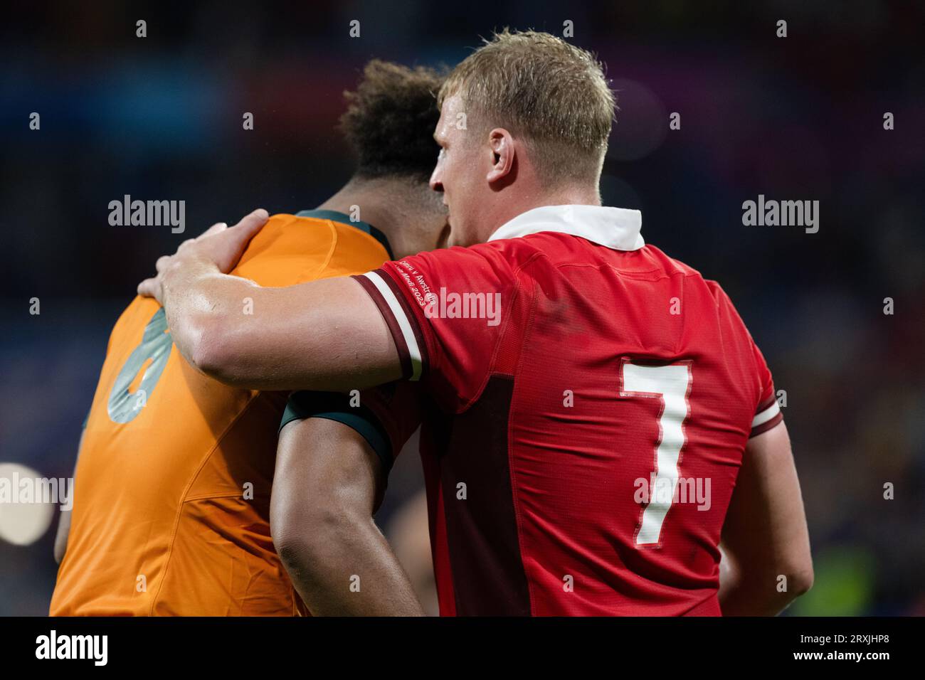 (L-R) Rob Valetini(AUS), Jac Morgan(WAL) celebrate at the end of the ...