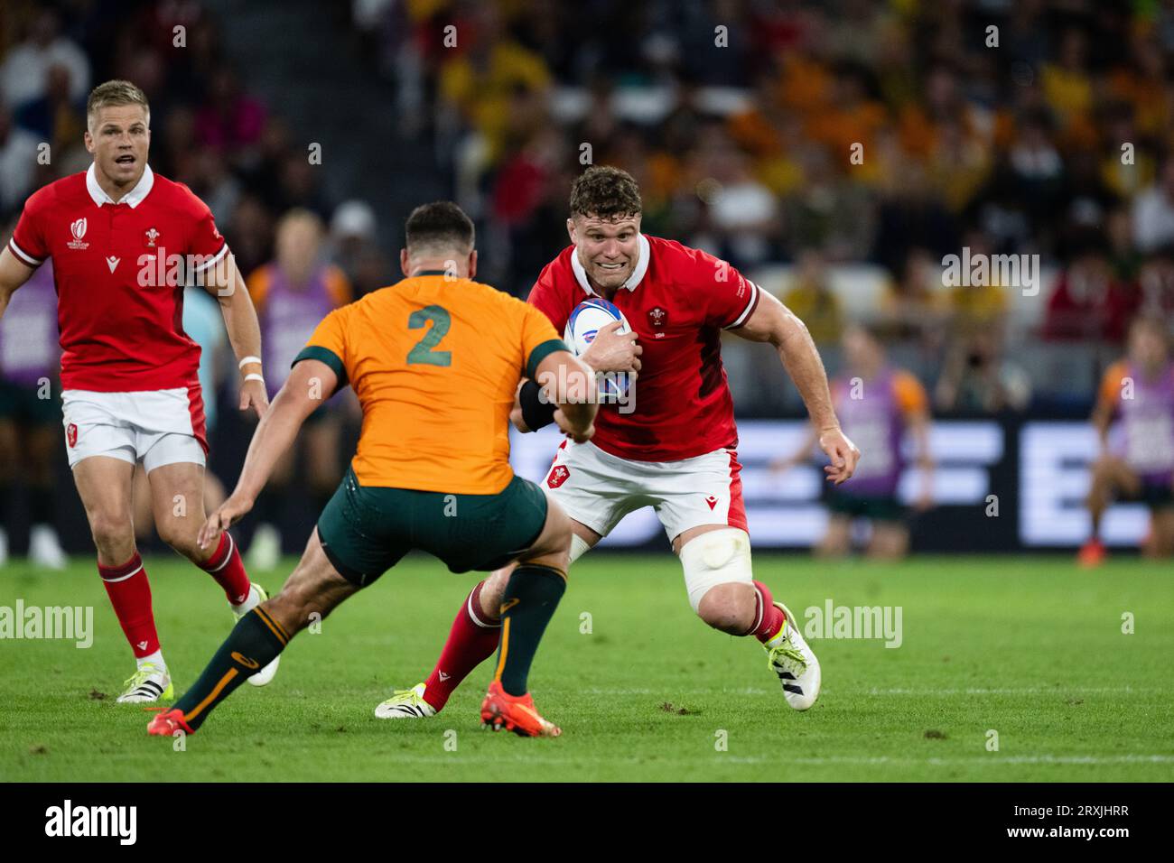 Will Rowlands (WAL) during the 2023 Rugby World Cup Pool C match ...