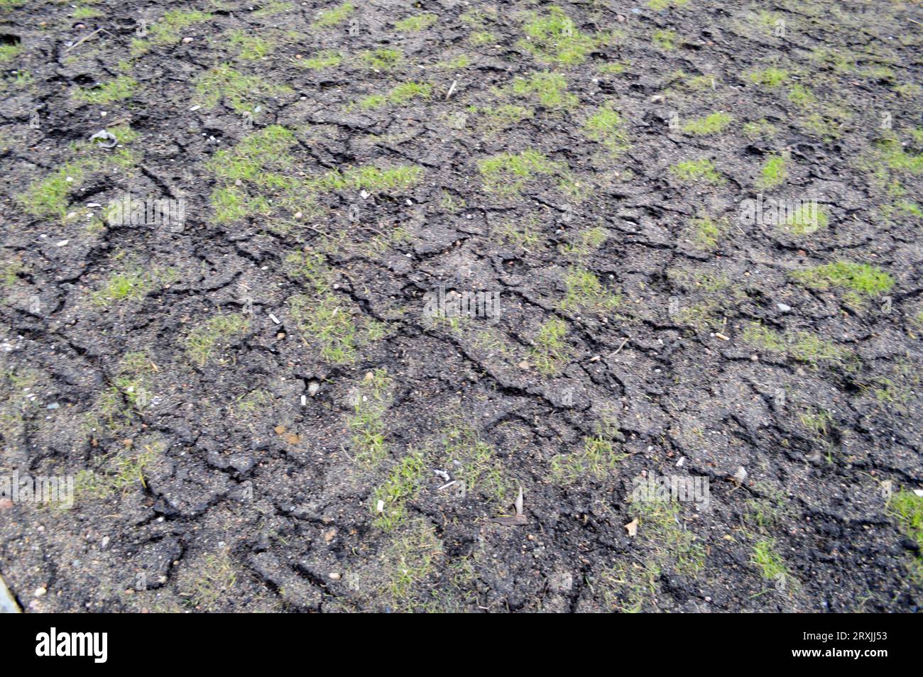 Moist soil background hi-res stock photography and images - Alamy