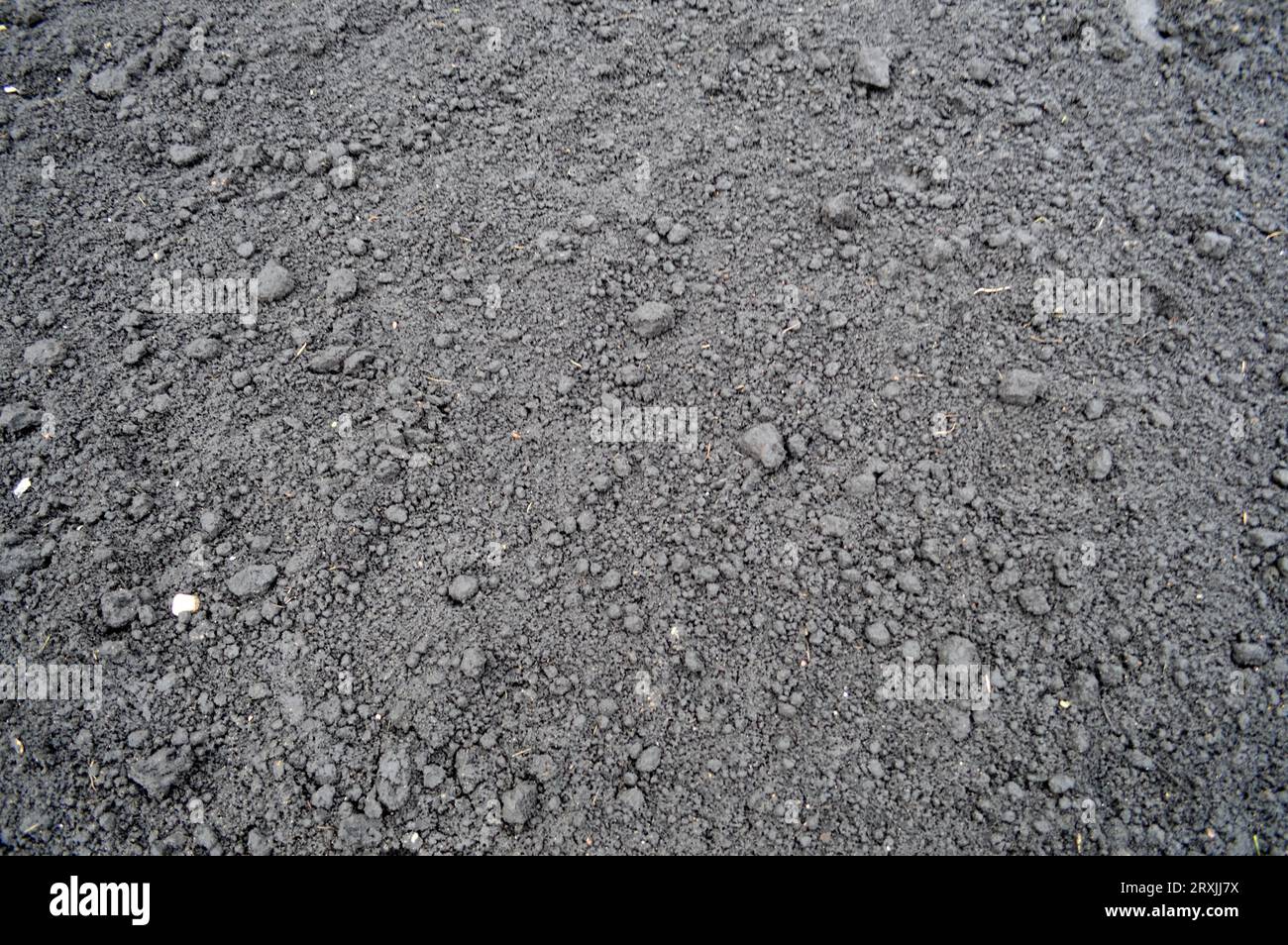 A view of the black dark fertile loose fresh cracked natural moist soil ...