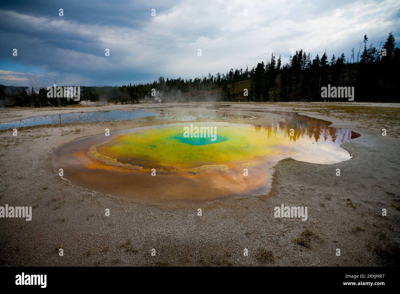 Chloroflexus bacteria hi-res stock photography and images - Alamy